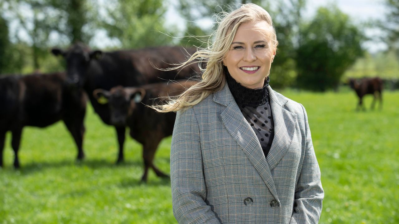 Na Irlanda para descobrir carne ética. Entre Manzs semi -Brade ...